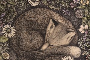 Fowler Center | Fowler Center